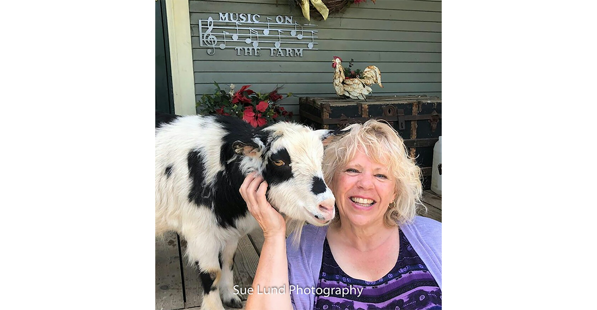 Supporting Small Businesses - Sue Lund Photography